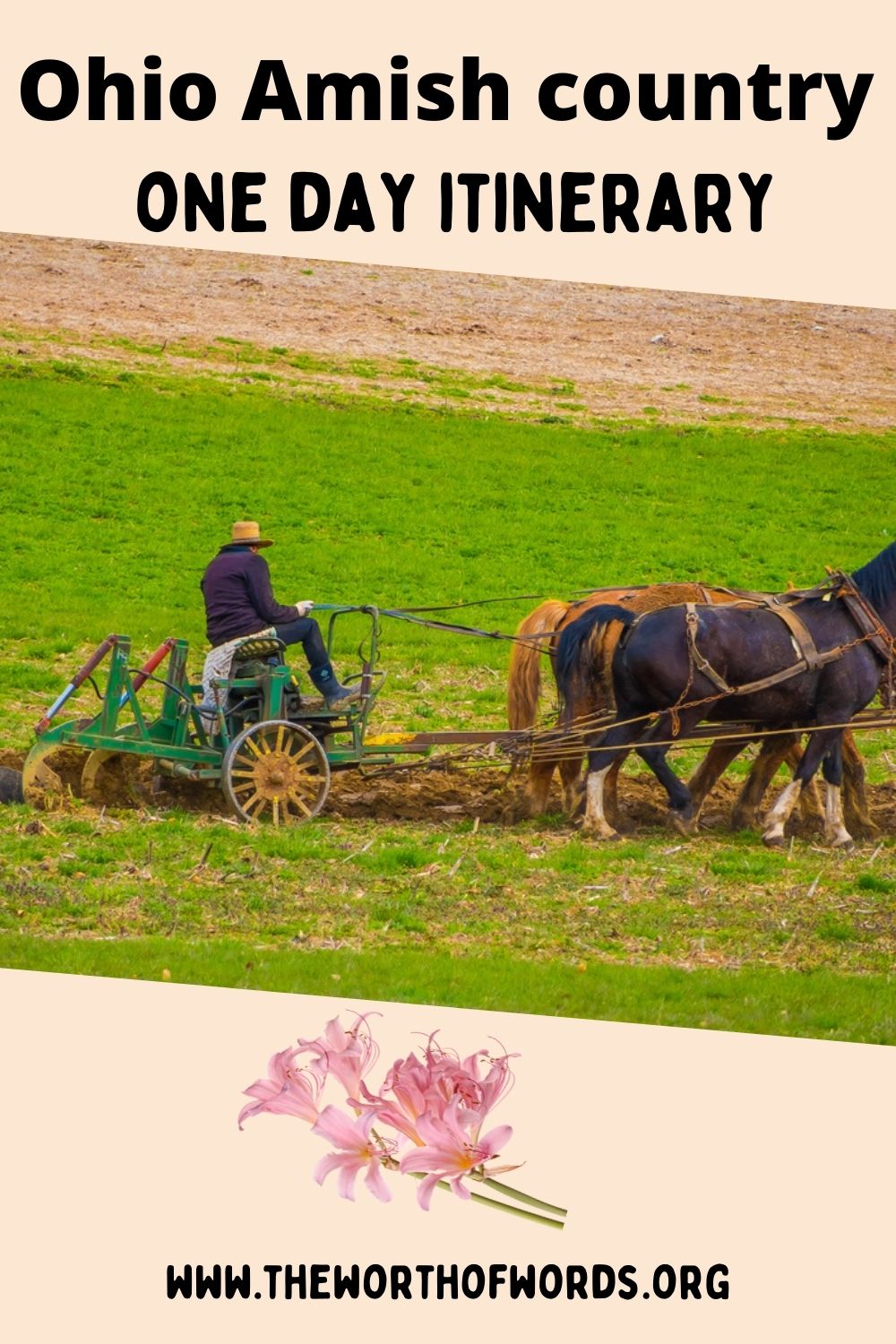 How to spend a delightful day in Amish country - The Worth of Words - A ...