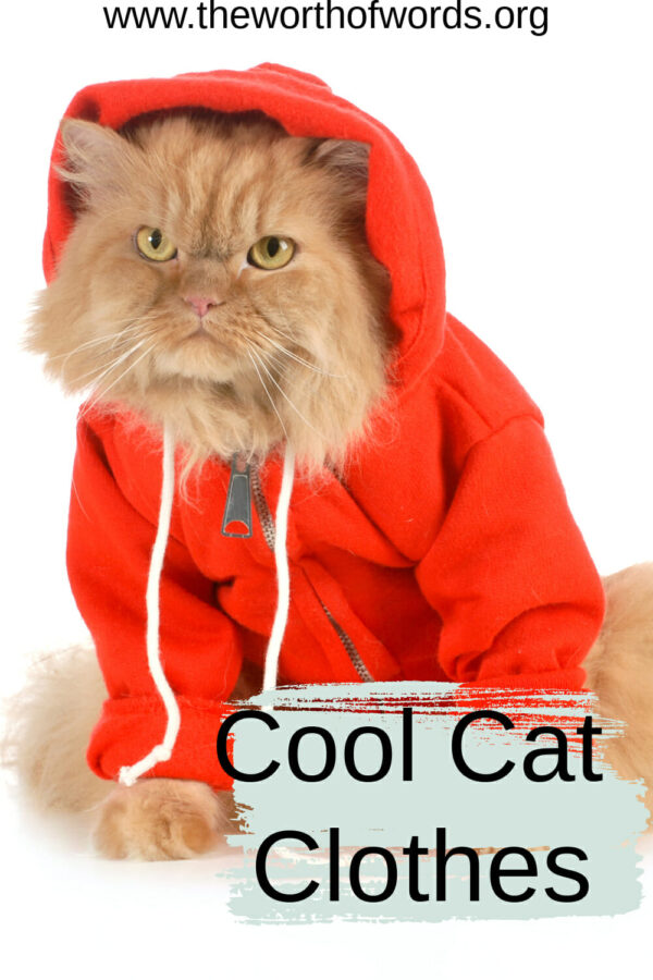 Back to School - For Your Cool Cat - The Worth of Words - A Universal ...